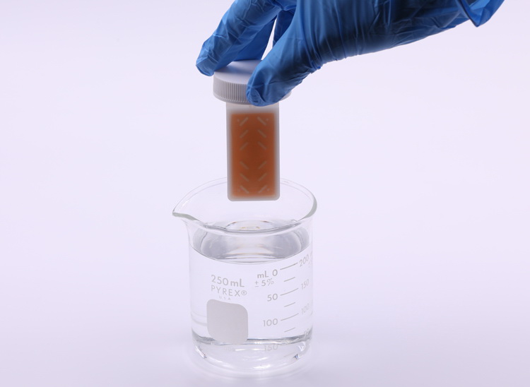 Sani-Check BF Dipslides (10 Tests per Kit) – Microbial Testing Services ...